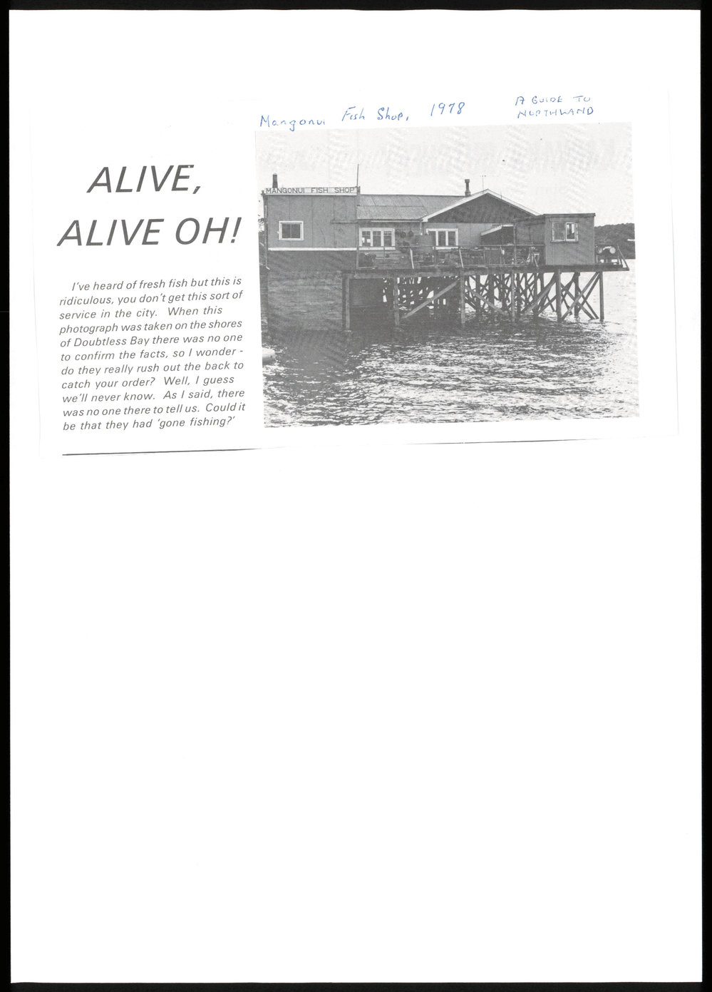 Alive; alive oh! | Far North District Libraries Recollect